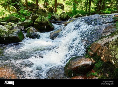 Lomnica River In Karpacz Mountains In Poland Fast Mountain Cascade