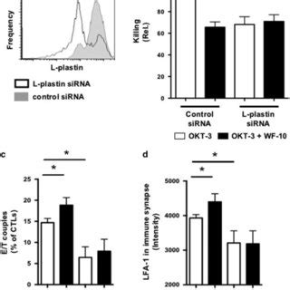 L Plastin Is Important For Ctl Mediated Target Cell Killing A The