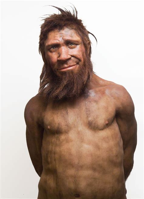 Kennis Kennis Reconstructions Evolu O Humana Pr Hist Ria F Sseis