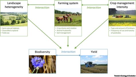 More Diverse But Less Intensive Farming Enhances Biodiversity Trends