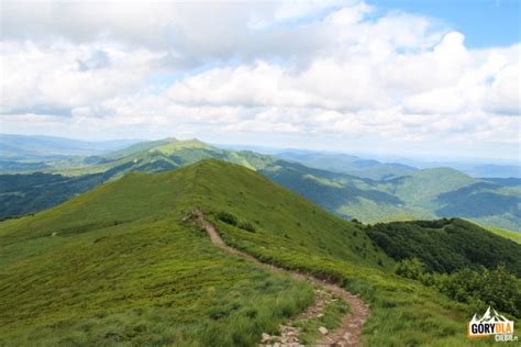 Połonina Caryńska Bieszczady