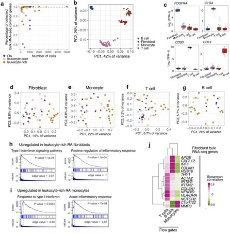 bulk rna seq data analysis a quality control of bulk rna seq samples download scientific