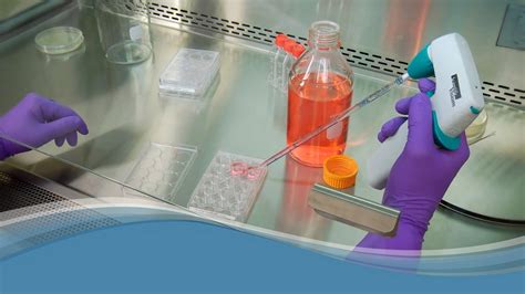 Working In Your Biosafety Cabinet NuAire