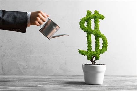 Cuáles son los negocios más rentables para invertir en Chile