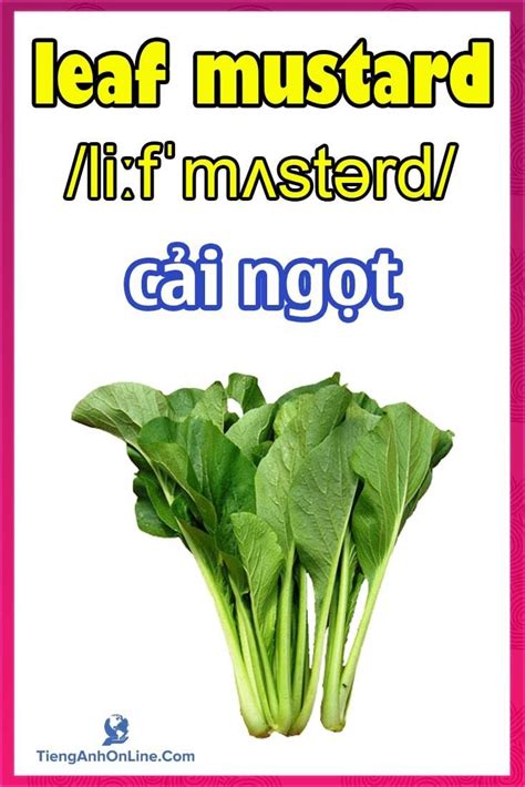 Rau Cải trong Tiếng Anh là gì Định Nghĩa Ví Dụ Anh Việt