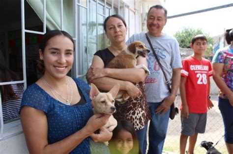 Atiende DIF Municipal a 270 mascotas con primera campaña de