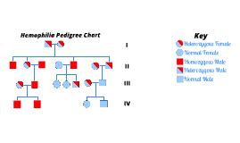 Hemophilia Pedigree Chart By Sean Powers On Prezi