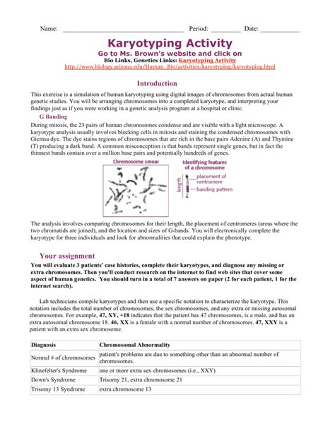 Karyotype Worksheet Biology Printable Word Searches