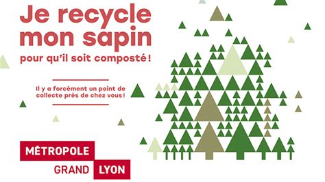 Collecte Des Sapins De No L Lyon Mairie Du