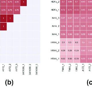 Pearson Correlations Between Gene Expression Profiles Of Analysed Cell