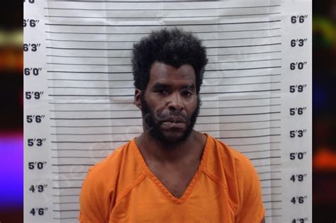 Hadi Hamid Pickens County Jail Bookings