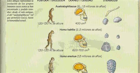 El Proceso De Hominizacin