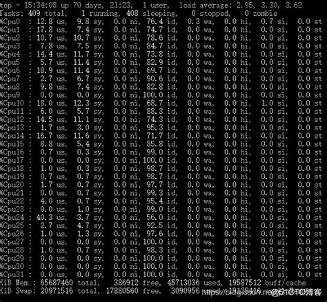 查看虚拟机服务器内存 查看服务器虚拟化、cpu、内存信息 csdn博客