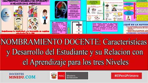 12 Estilos de Aprendizaje que debes conocer explicación y ejemplos