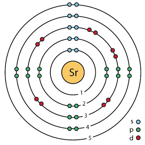 Bohr Diagram Sulfur