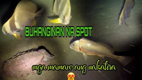 Eps 91 BUHANGINAN NA SPOT MGA MAMAW NAKATIRA Night Spearfishing