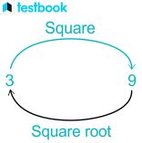 Square Root Definition How To Find Square Roots With Examples