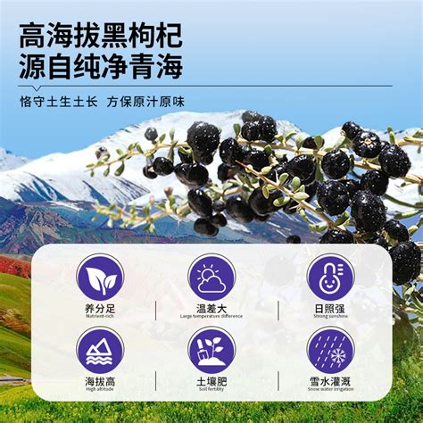 漠里优选黑枸杞原浆官方旗舰店鲜nfc有机鲜果原液原浆液枸杞汁210 虎窝淘