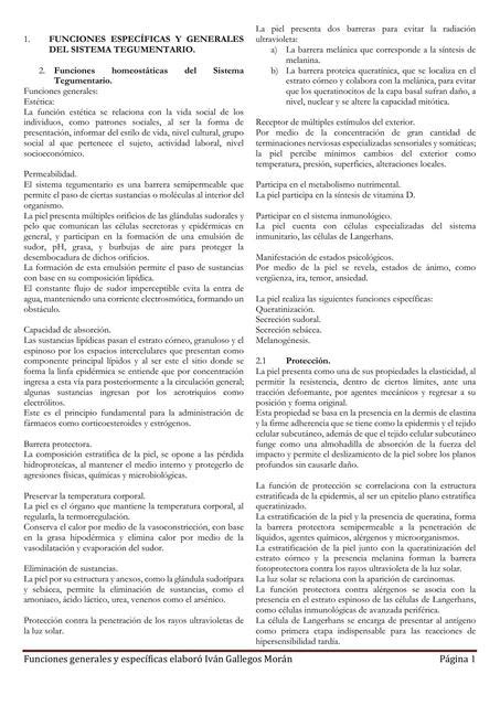 Funciones Espec Ficas Y Generales Del Sistema Tegumentario Ang Lica