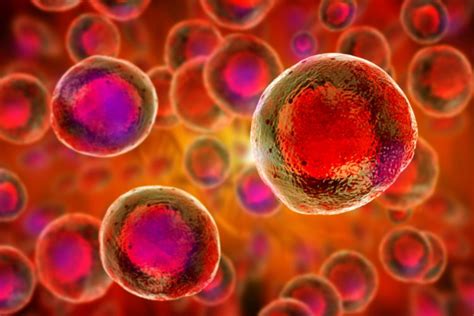 The Role Of Biomaterials In Stem Cell Based Regenerative Medicine