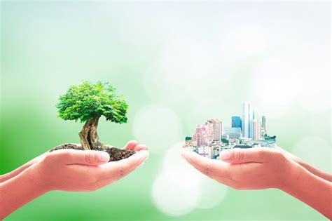 Desarrollo sustentable concepto características objetivos principio