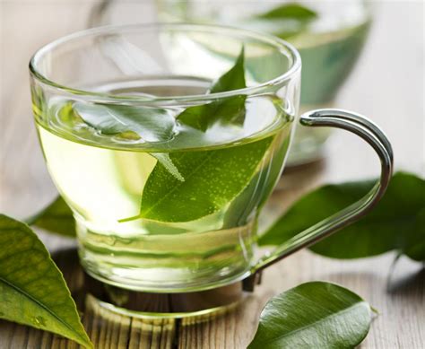 Beneficios Del Boldo Para Tu Salud Y Para Qué Sirve La Guía de las