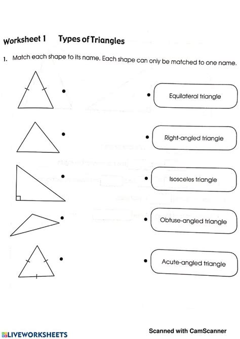 Triangle Types Worksheet