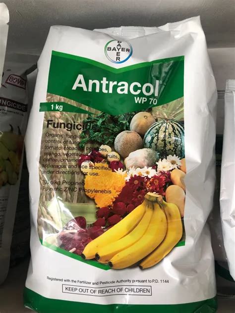 Antracol Wp Fungicide Kg Lazada Ph