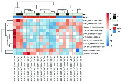 Heatmap Of Normalized Read Counts With The VST Method In DESeq2 For