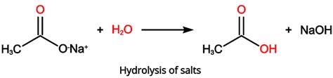Simple Hydrolysis Reaction