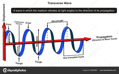 Diagram Of A Transverse Wave