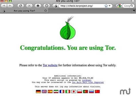 How To Access The Dark Web While Staying Anonymous With Tor
