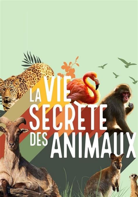 Regarder La vie secrète des animaux streaming