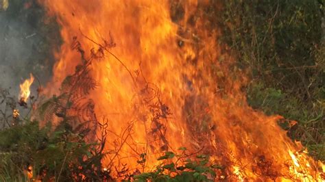 Los incendios forestales no dan tregua en Popayán RCN Radio