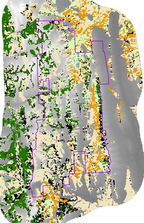 Arcgis Desktop Interpolation Of Categorical Data From A Polygon