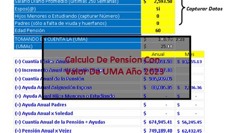 2023 Descubre cuánto subirán las pensiones mínimas y asegúrate un