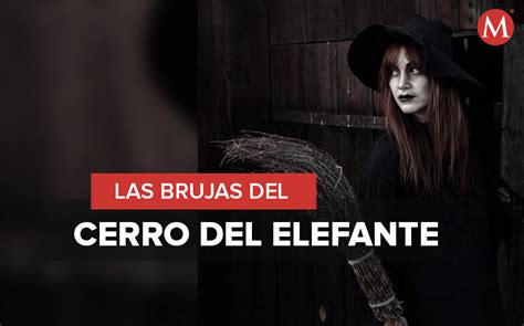 Brujas en Ixtapaluca Leyendas sobre el robo de bebés Grupo Milenio