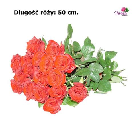 Bukiet z róż o wysokości 50cm Kwiaciarnia Piwonia