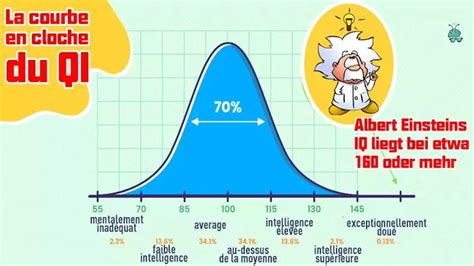 Test De Qi Gratuit Version Rapide Questions Kuioo