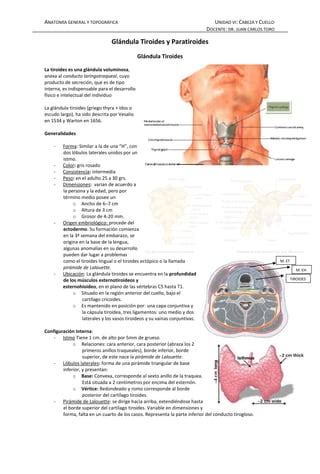Glandula Tiroides Y Paratiroides PDF