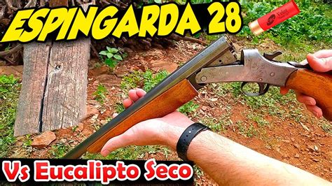 ESPINGARDA ROSSI POMBO CALIBRE 28 Disparo Balote SG1 CBC YouTube