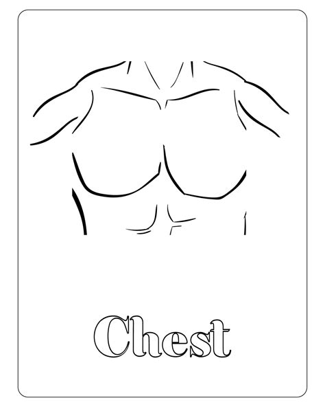 Human Body Coloring Pages Human Body Part Vector Vector Art