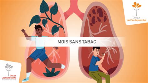 Le Mois De Novembre Le Mois Sans Tabac Groupe Les Flamboyants