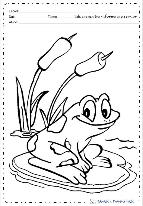 Desenhos de animais para colorir e imprimir Sapo Educação e