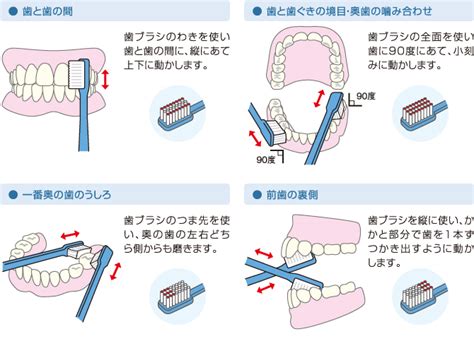 歯磨きポイント はじめようやってみよう 口腔ケア