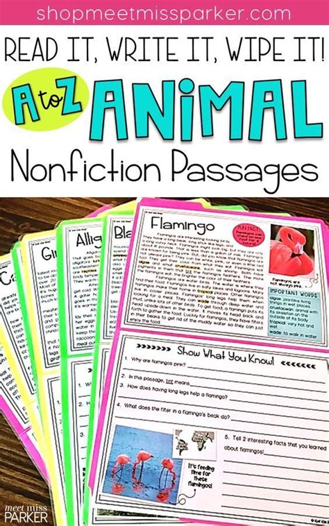 Common Core Grade 3 Worksheet Reading