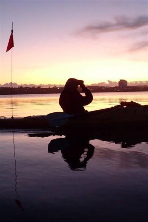 Auckland Bioluminescence Kayak Tour By Night With Tuition GetYourGuide