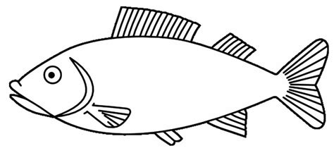 60 Desenhos de Peixes para colorir Dicas Práticas