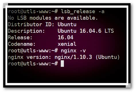 How To Check Os Version In Linux Command Line NixCraft