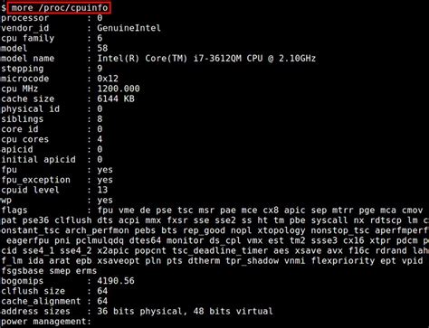 Sameh Attia How To Check CPU Info On Linux